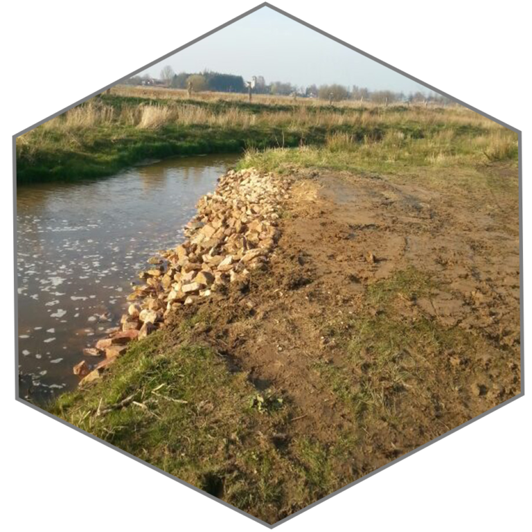 Beverburcht 2 - Daamen